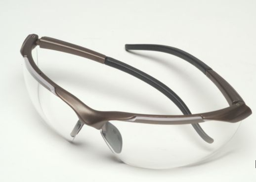 MSA Safety Glasses - Discovery II – Absafe